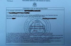 How to Apply for TSC Number and Certificate Online and the Requirements ...