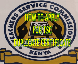 How to Apply for TSC Duplicate Certificate, Requirements and Bank Payment Details - JITIMU