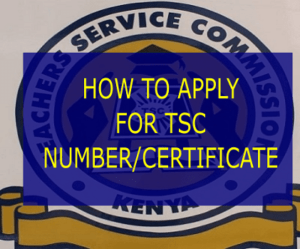 How to Apply for TSC Number and Certificate Online and the Requirements - JITIMU