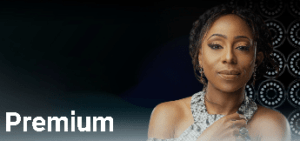 Multichoice DStv Botswana Packages and Cost - JITIMU