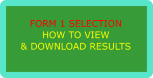 Form 1 Selection 2024: How to Check and Download Admission Letters on KEMIS