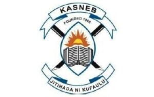 KASNEB CPA Examination Levels and Syllabus - JITIMU