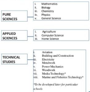 Senior Secondary Subjects in Kenya and Career Pathways - JITIMU